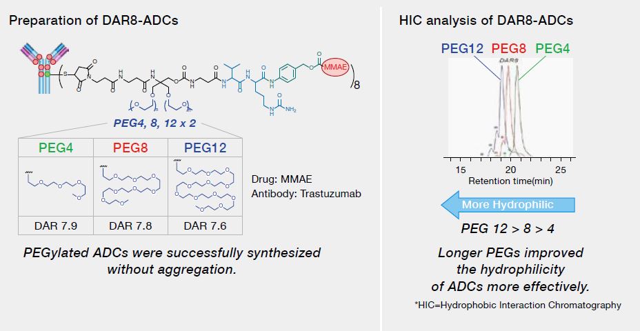 Drug Delivery Products :: Activated PEG for PEGylation :: For ADC and Linker :: Cleavable ...